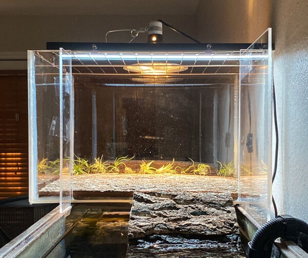 DIY Turtle Basking Area – DFW Craft Shows