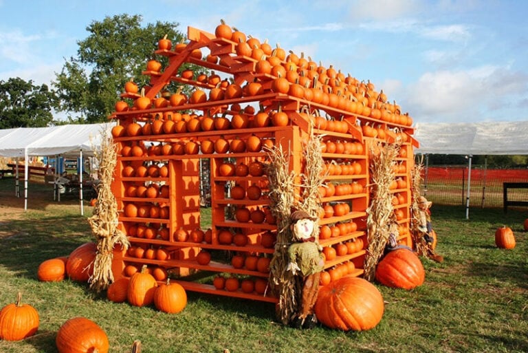 Favorite Pumpkin Patches in Dallas Fort Worth [2022] – DFW Craft Shows