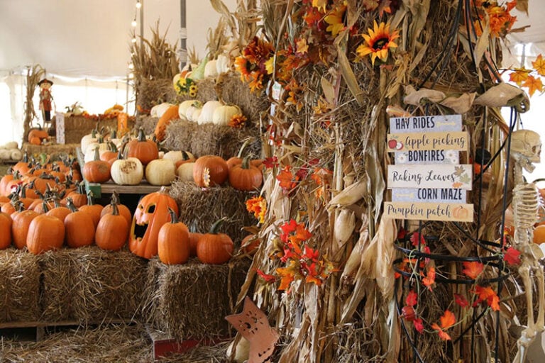 Favorite Pumpkin Patches in Dallas Fort Worth [2022] – DFW Craft Shows