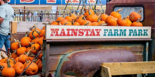 Favorite Pumpkin Patches in Dallas Fort Worth [2025] – DFW Craft Shows