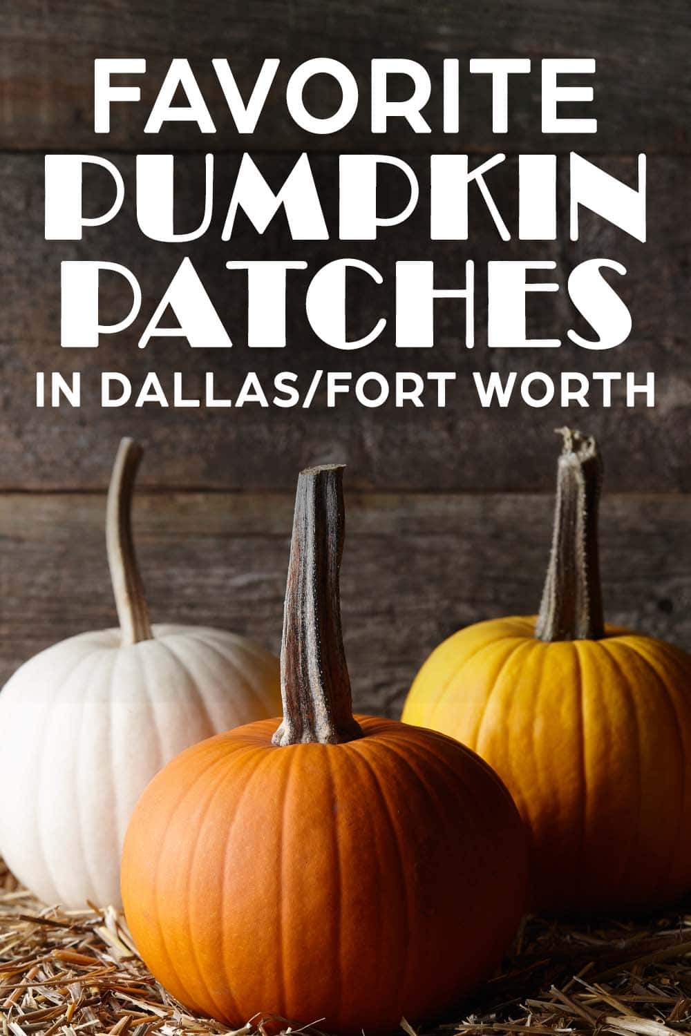 Favorite Pumpkin Patches in Dallas Fort Worth [2025] – DFW Craft Shows