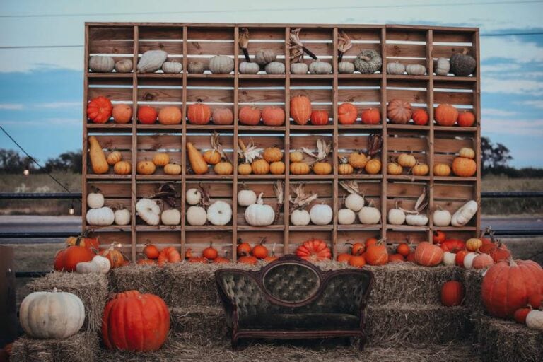 Favorite Pumpkin Patches in Dallas Fort Worth [2025] – DFW Craft Shows