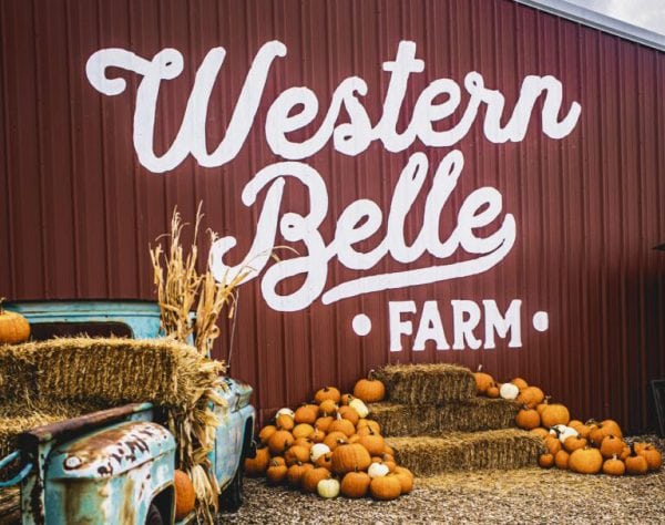 Favorite Pumpkin Patches in Dallas Fort Worth [2025] – DFW Craft Shows