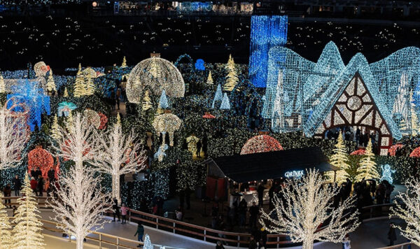 Ultimate List of Christmas Activities in Dallas Fort Worth [2024] – DFW ...