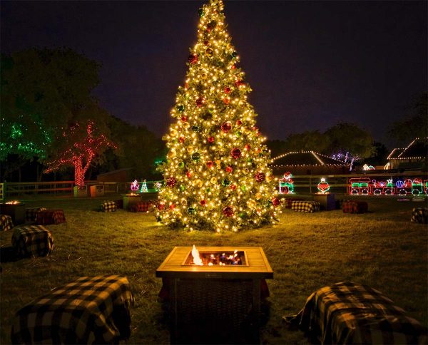Ultimate List of Christmas Activities in Dallas Fort Worth [2024] – DFW ...