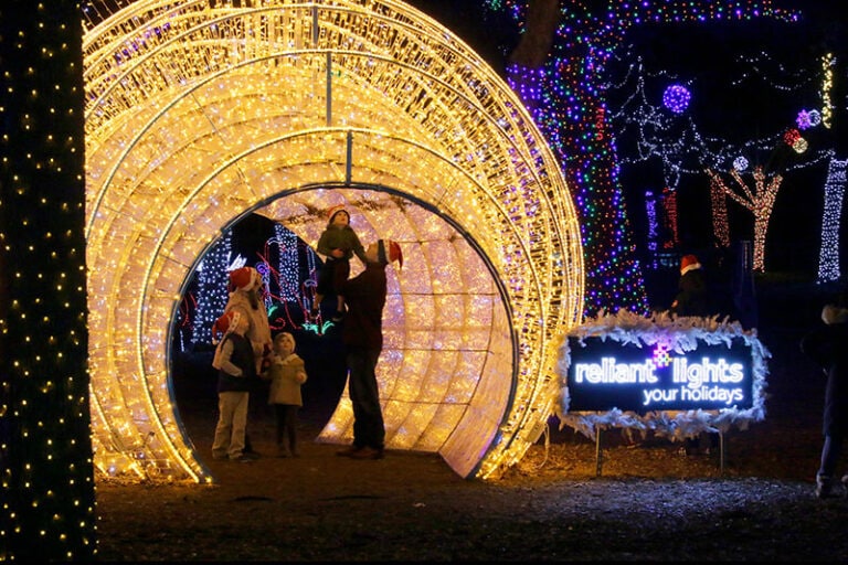 Ultimate List of Christmas Activities in Dallas Fort Worth [2024] – DFW ...