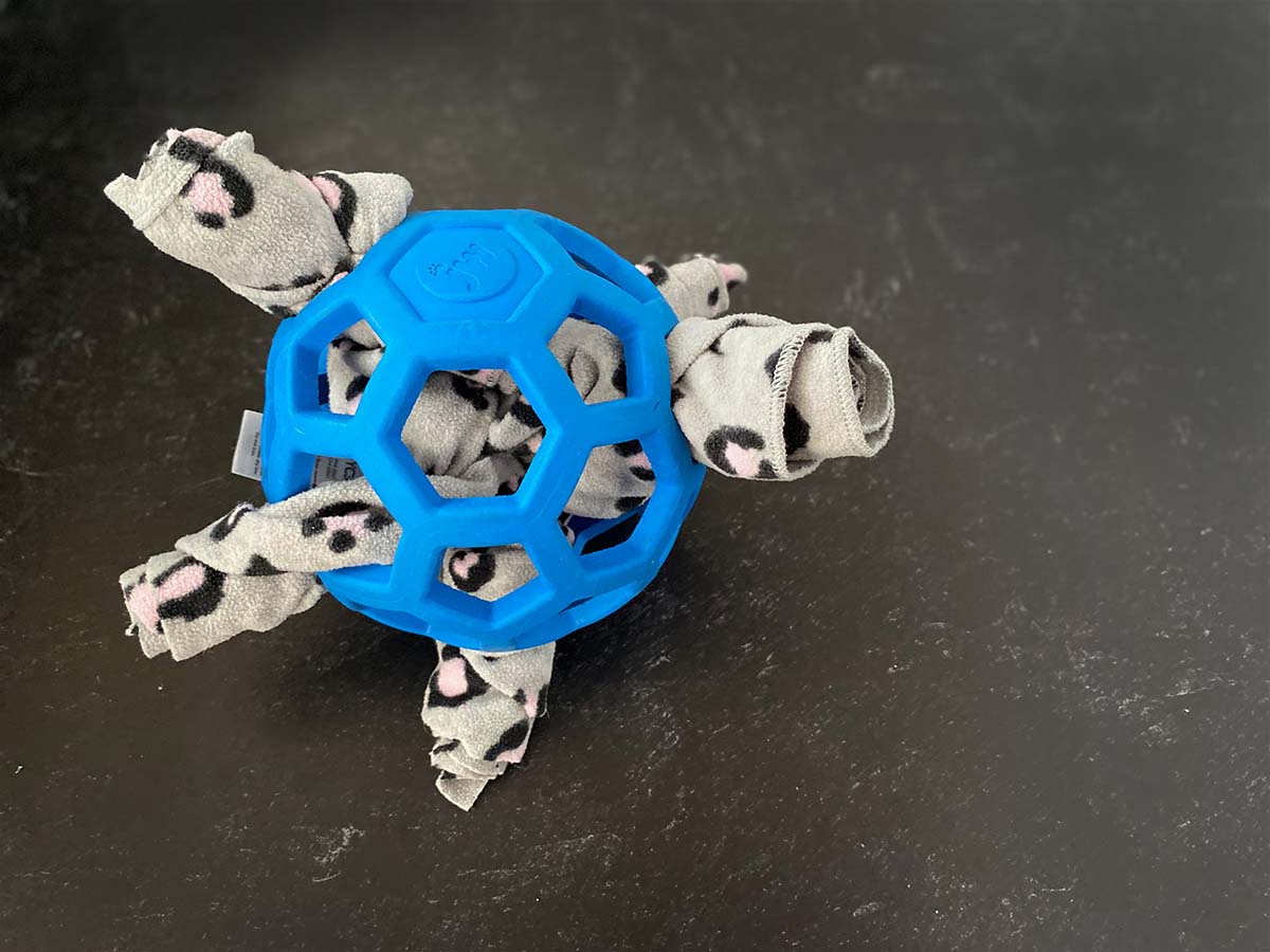 Quick & Simple DIY Snuffle Ball – DFW Craft Shows