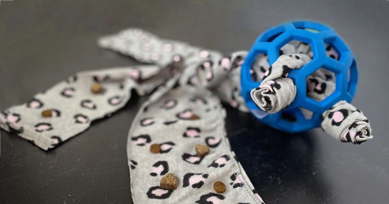 Quick & Simple DIY Snuffle Ball – DFW Craft Shows