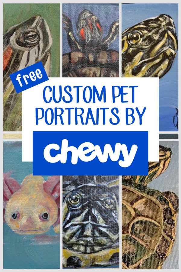 Chewy Gets Creative [Custom Pet Portraits for Customers] – DFW Craft Shows