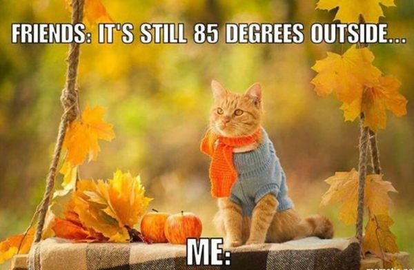 Best Texas Fall Memes [2025] – DFW Craft Shows