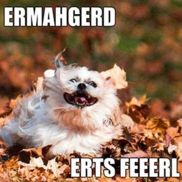 Best Texas Fall Memes [2025] – DFW Craft Shows