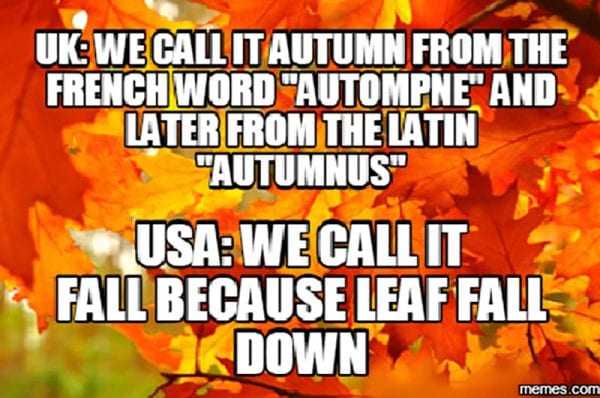 Best Texas Fall Memes [2025] – DFW Craft Shows