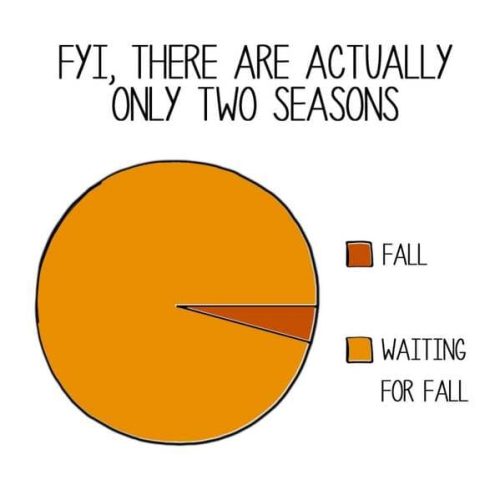 Best Texas Fall Memes [2025] – DFW Craft Shows