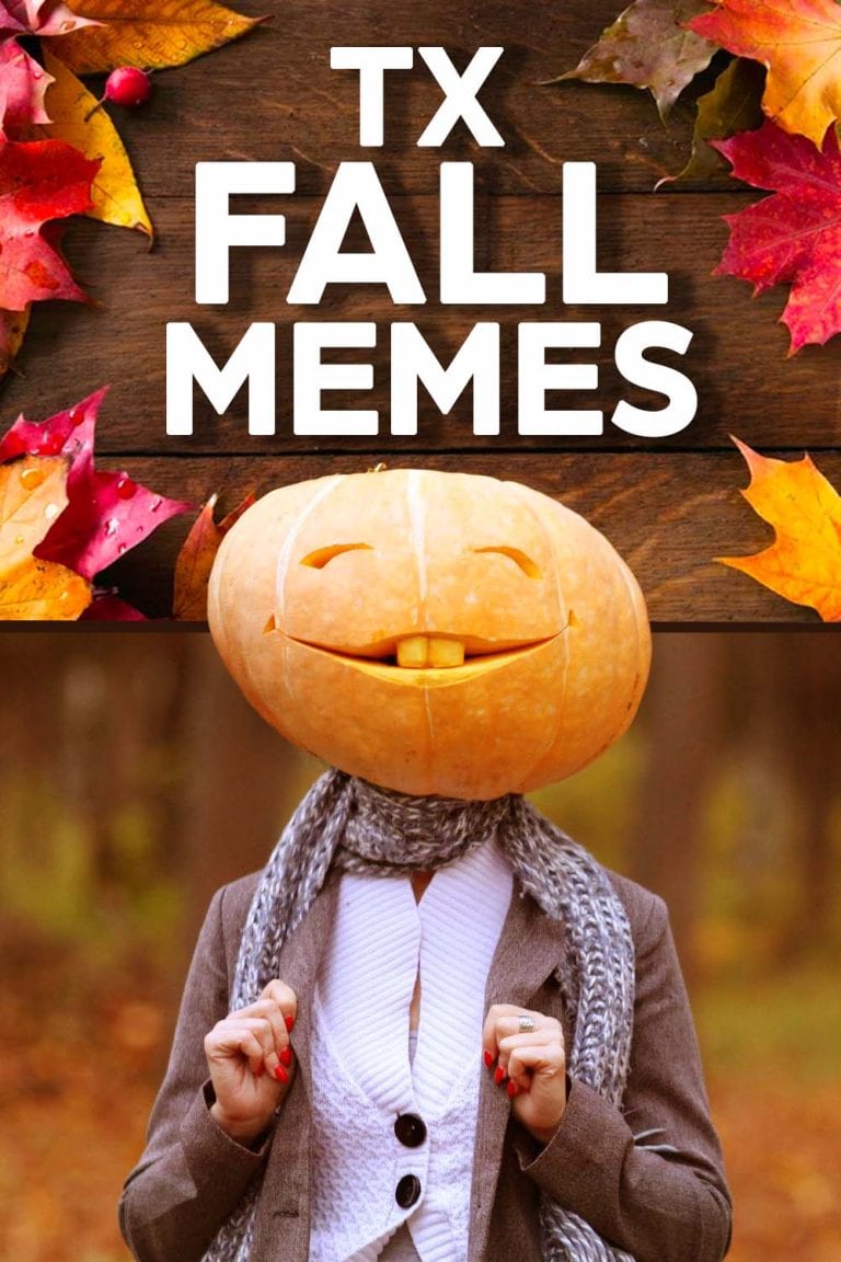 Best Texas Fall Memes [2025] – DFW Craft Shows