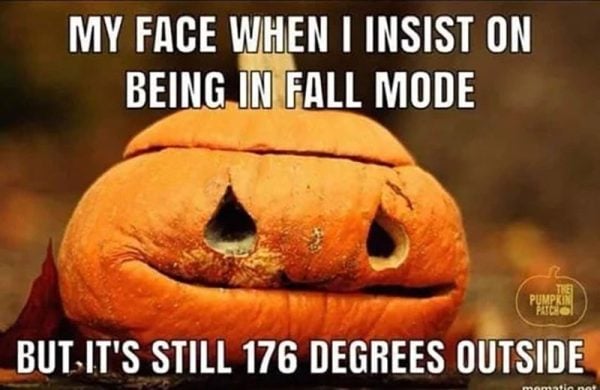 Best Texas Fall Memes [2025] – DFW Craft Shows