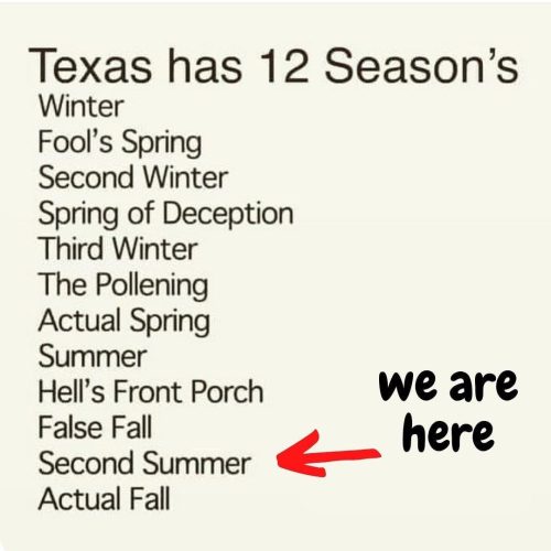 Best Texas Fall Memes [2025] – DFW Craft Shows