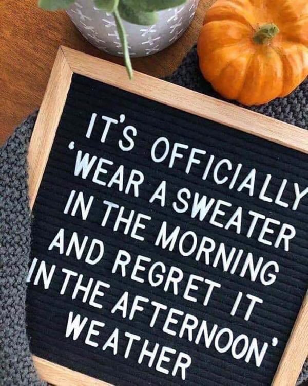 Best Texas Fall Memes [2025] – DFW Craft Shows