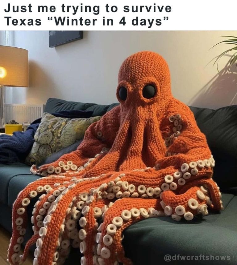 Best Texas Winter Memes [2026] – DFW Craft Shows