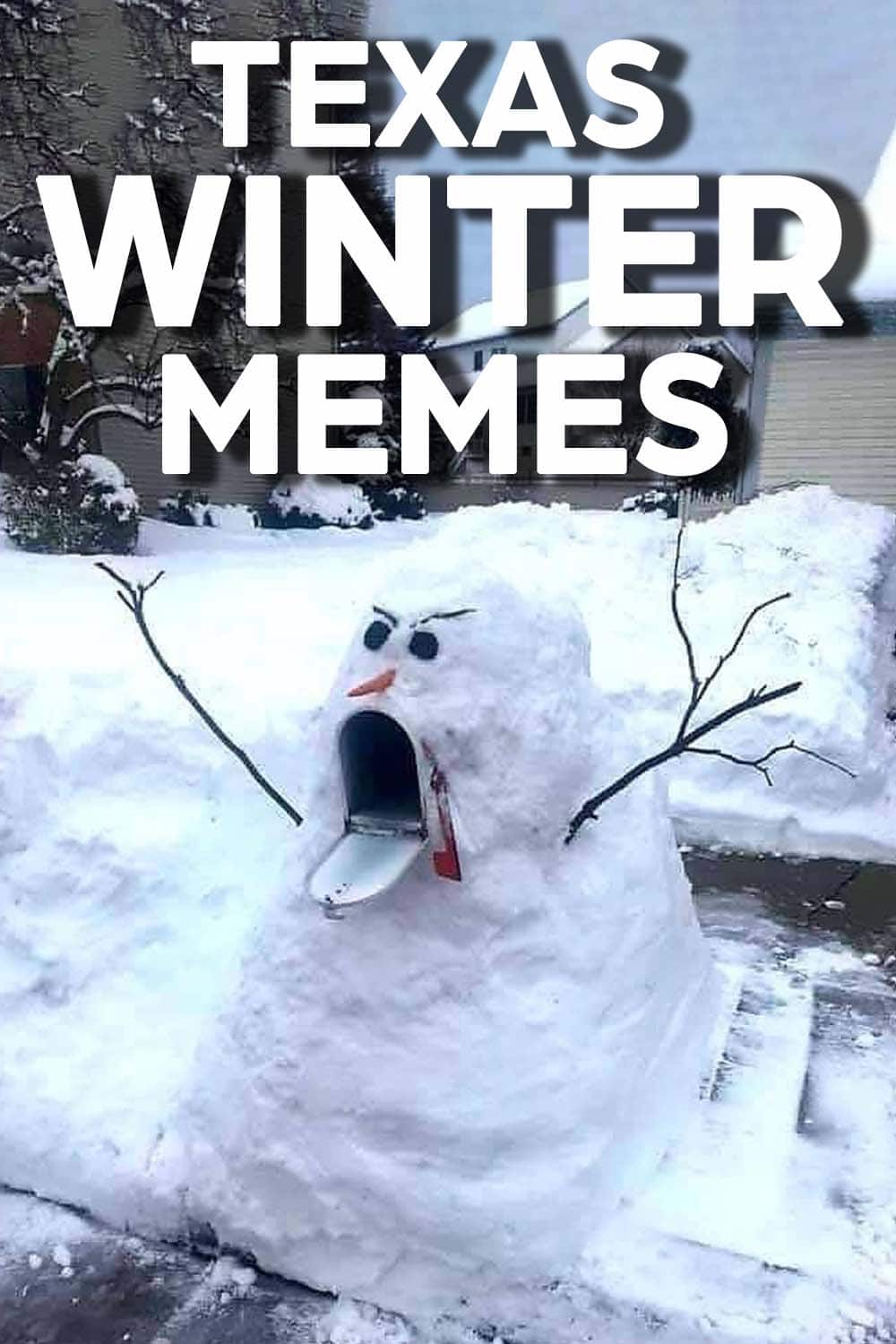 Best Texas Winter Memes [2025] – DFW Craft Shows